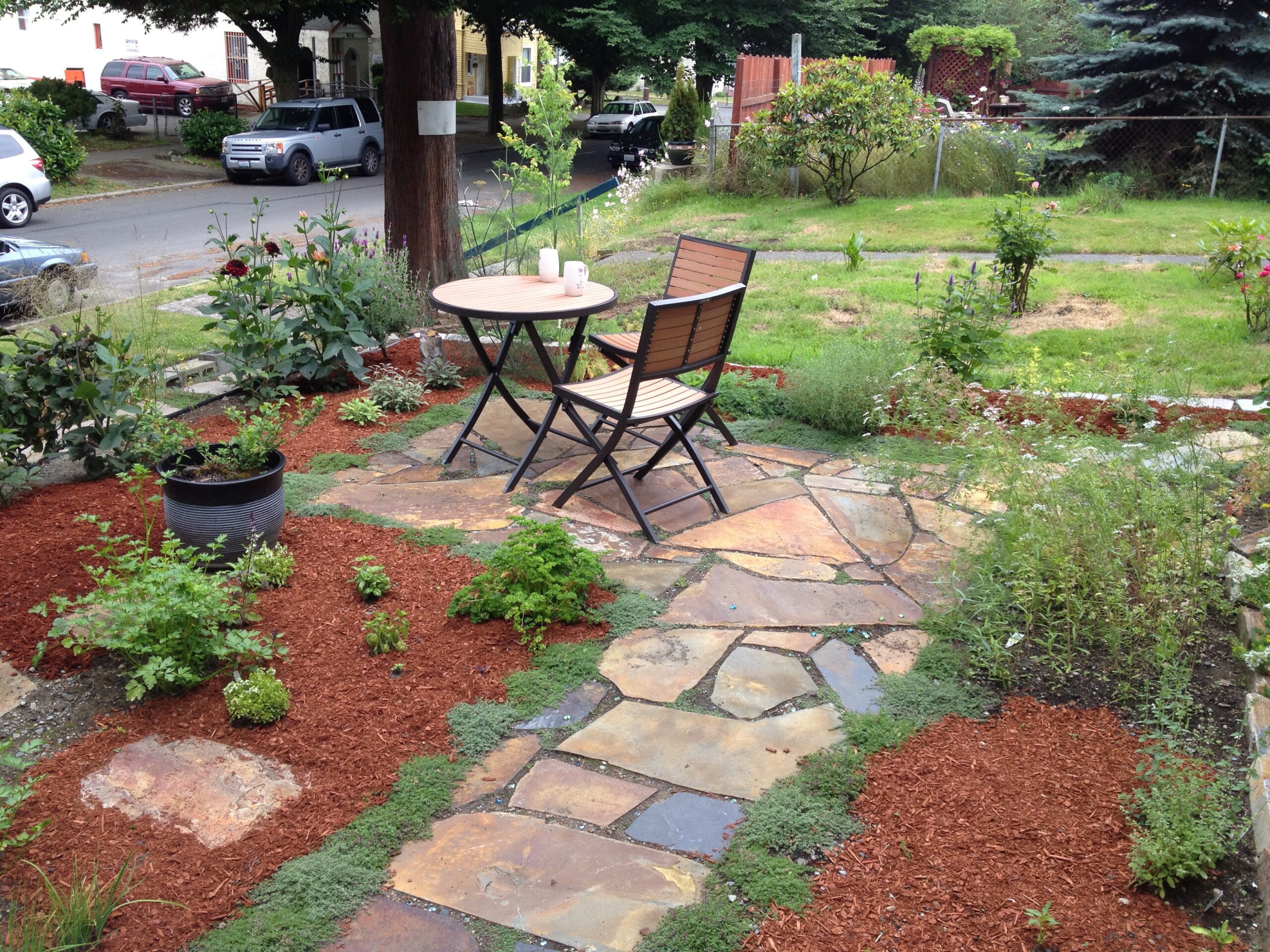 Front Yard - Urban Oasis