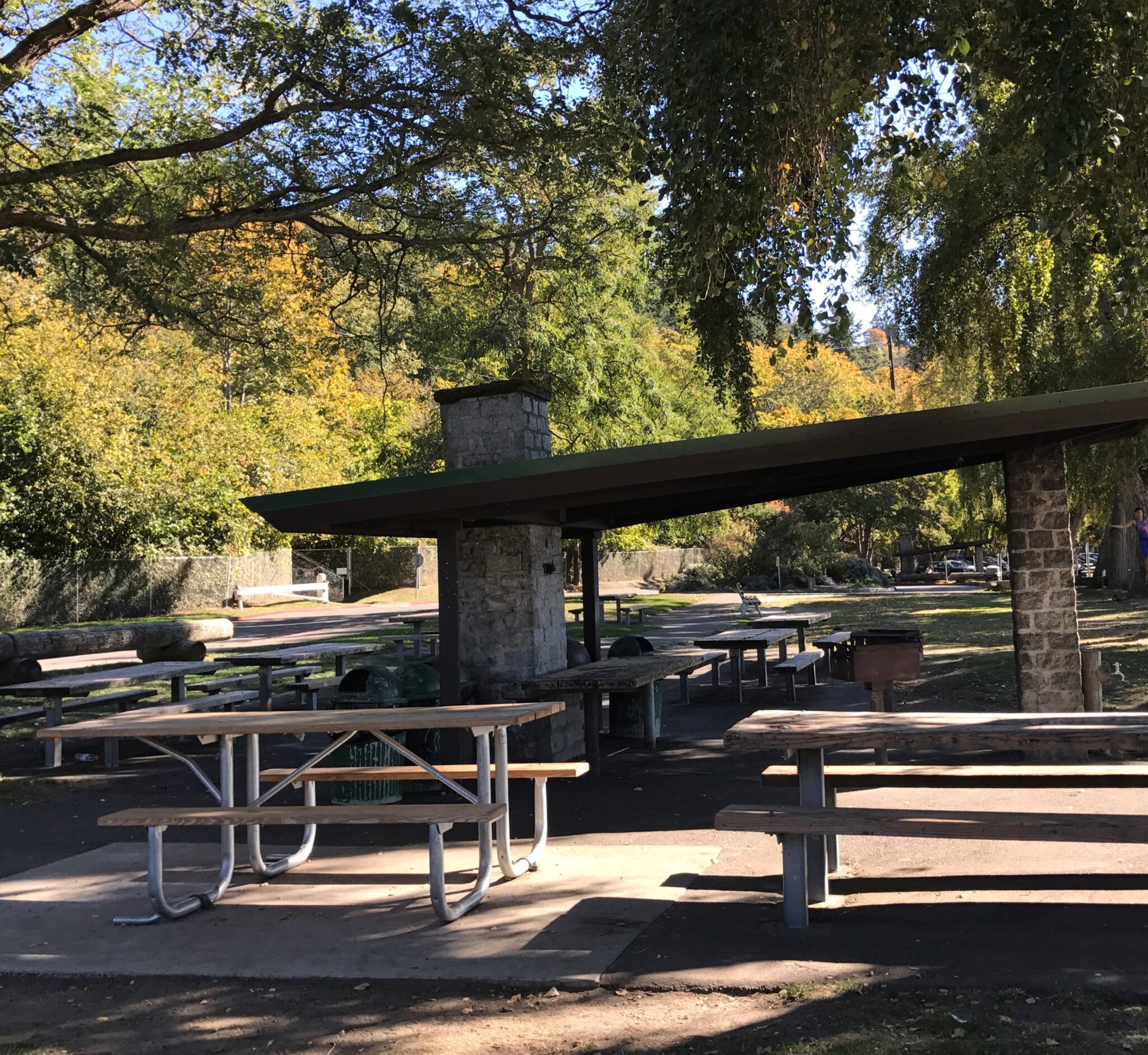 Seattle Parks Picnics and Grills - Urban Oasis